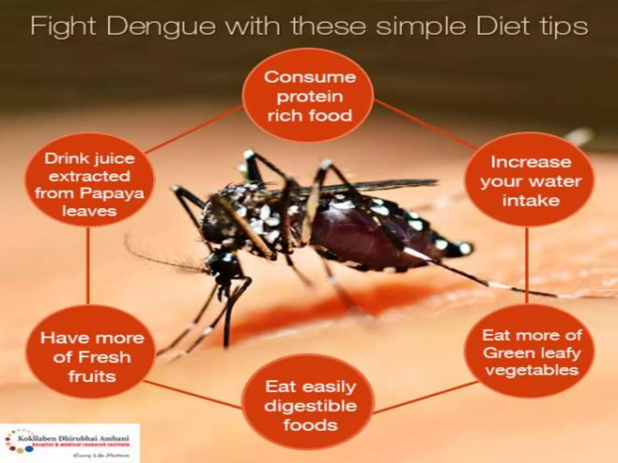 Dengue, DENGUE FEVER, DHS | PPTX