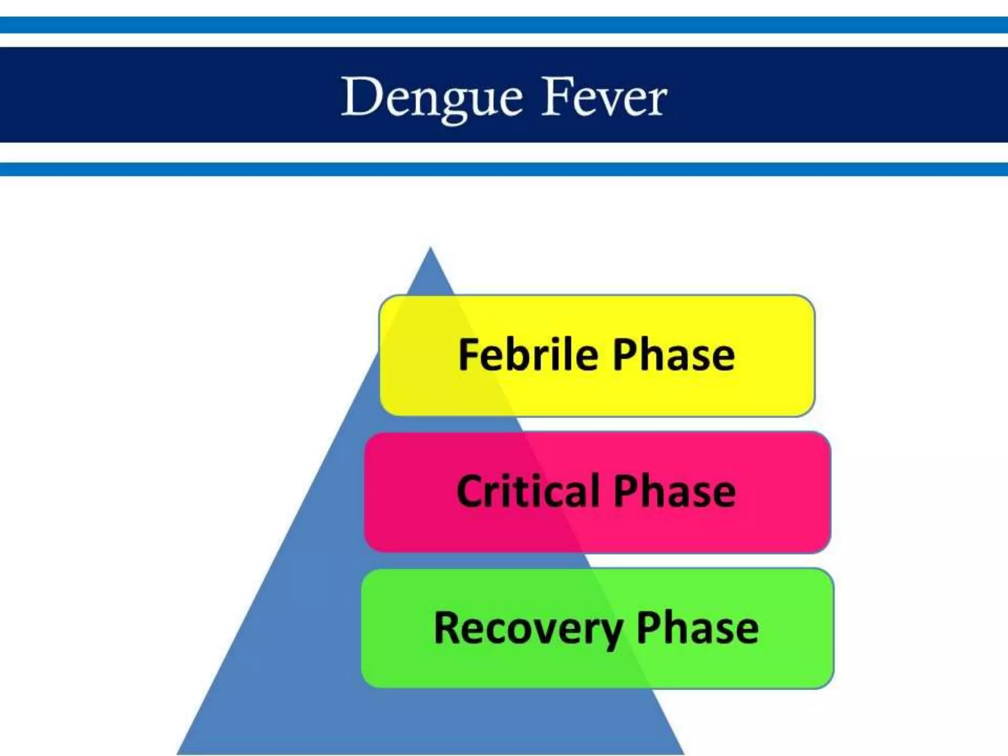 Dengue, DENGUE FEVER, DHS | PPTX