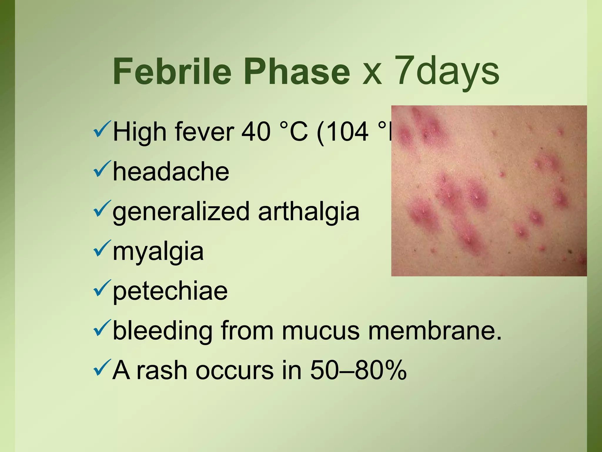 Dengue, DENGUE FEVER, DHS | PPTX