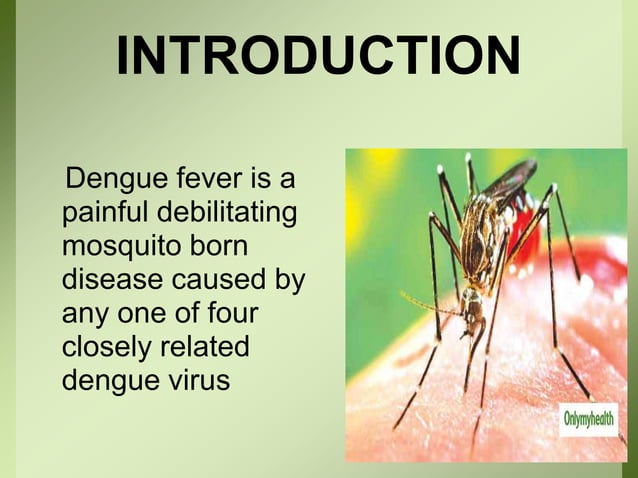 Dengue, DENGUE FEVER, DHS | PPTX