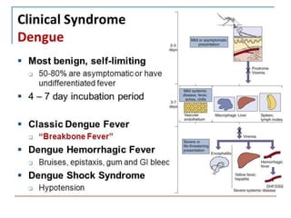 Dengue Shock Syndrome