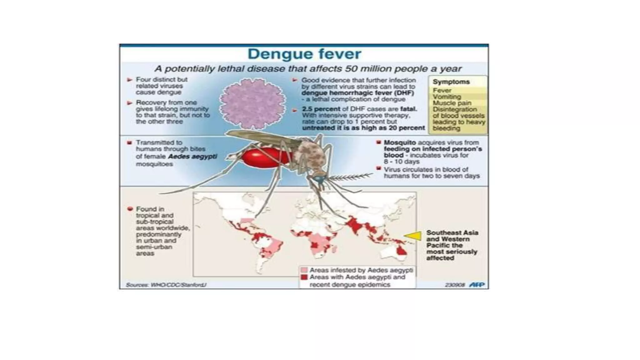 Dengue Fever - Brief Description, Diagnosis and Management | PPTX