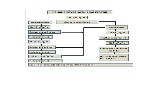 Dengue Fever - Brief Description, Diagnosis and Management | PPT