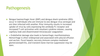 Dengue | PPTX