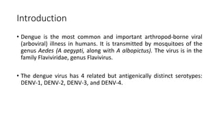 Dengue fever | PPTX