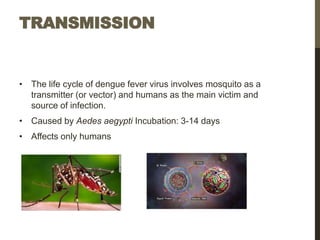 Dengue | PPTX | Infectious Diseases | Diseases and Conditions