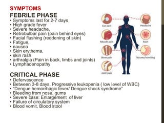 Dengue | PPTX | Infectious Diseases | Diseases and Conditions