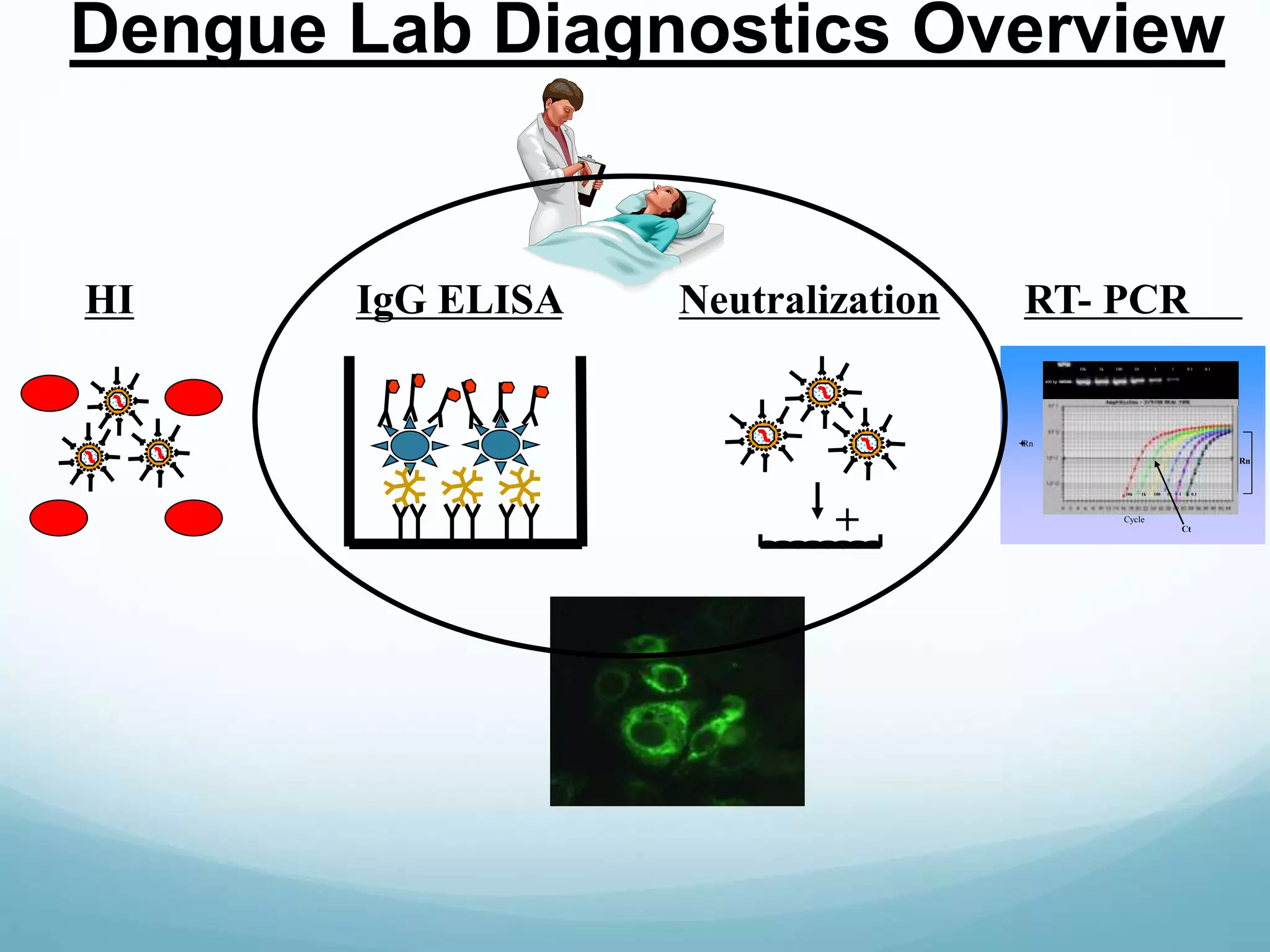 Dengue Transmission and Risk Factors in Dhaka, Bangladesh | PPTX