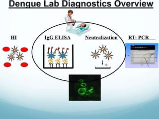 Dengue Transmission and Risk Factors in Dhaka, Bangladesh | PPTX