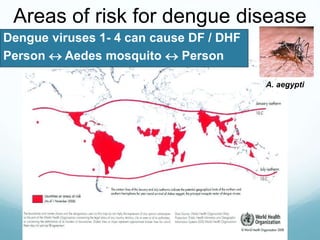 Dengue Transmission and Risk Factors in Dhaka, Bangladesh | PPTX