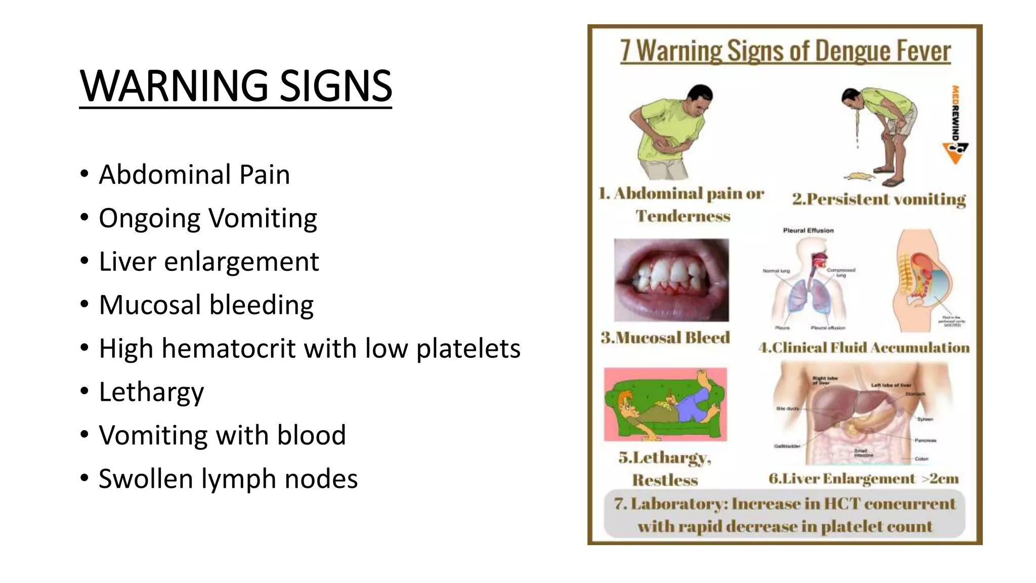 Dengue, DHF, DSS, prevention, prognosis and its management | PPTX