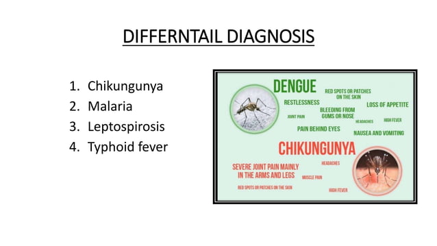 Dengue, DHF, DSS, prevention, prognosis and its management | PPT