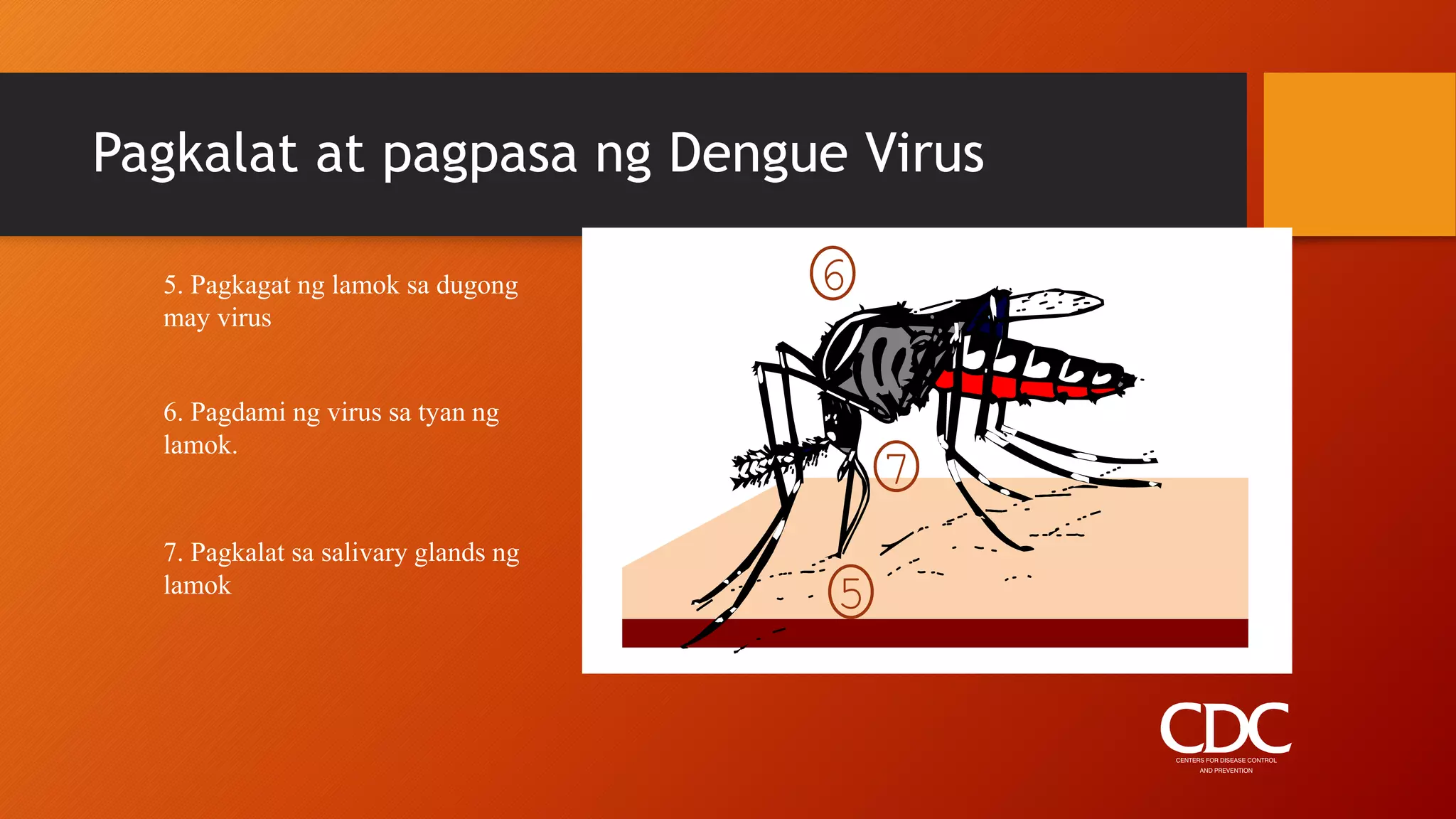 Dengue.pptx