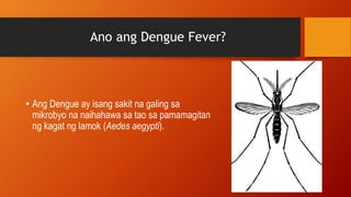 Dengue.pptx