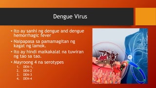 Dengue.pptx