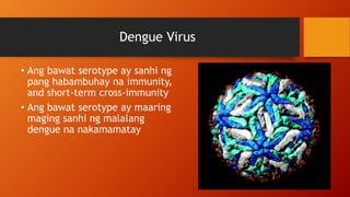 Dengue.pptx