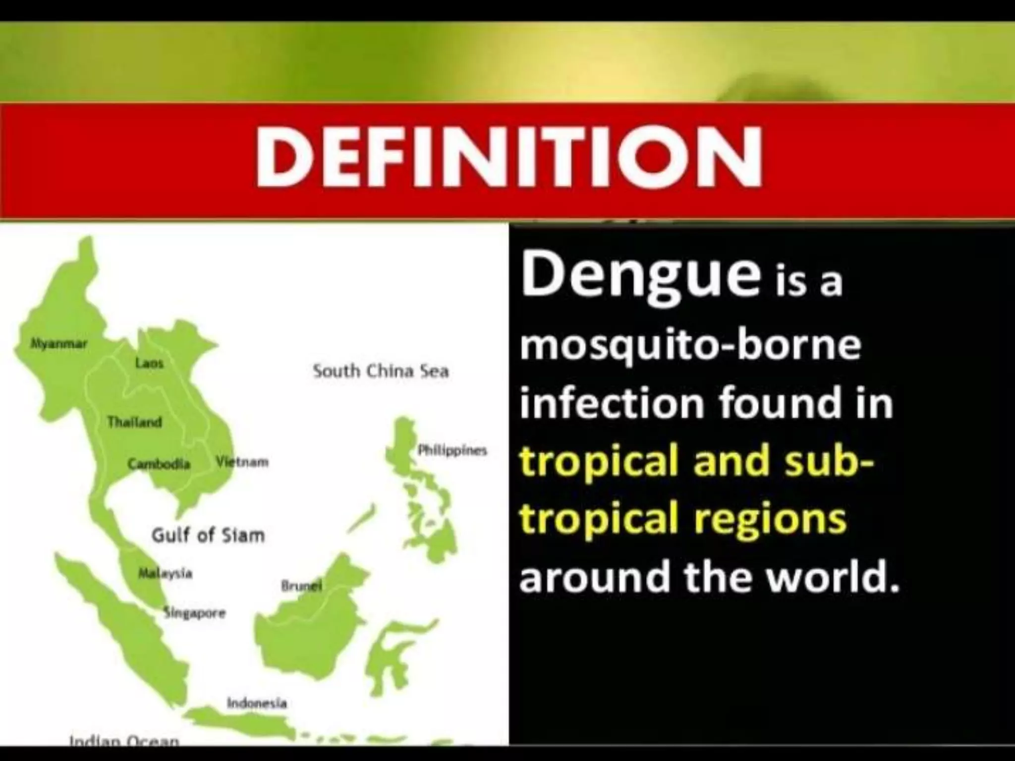 dengue.pptx | Infectious Diseases | Diseases and Conditions
