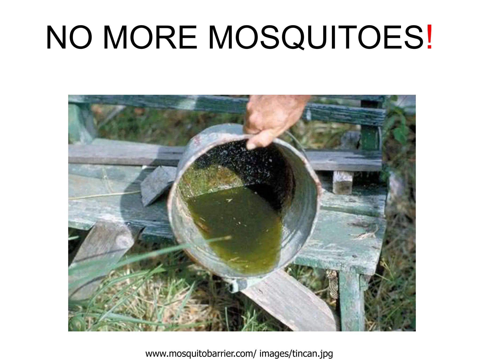 DENGUE/BREAKBONE FEVER: ADES MOSQUITO.pptx