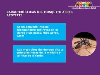 dengue denguedengue dengue dengue dengue | PPT