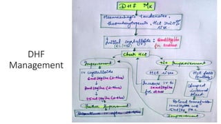 DENGUE - classification, symptoms and treatment | PPTX