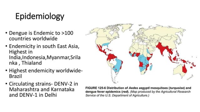 DENGUE - classification, symptoms and treatment | PPT