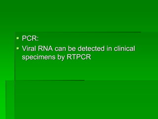 DENGUE.ppt/ dengue virus/ dna viruses/virology | PPT