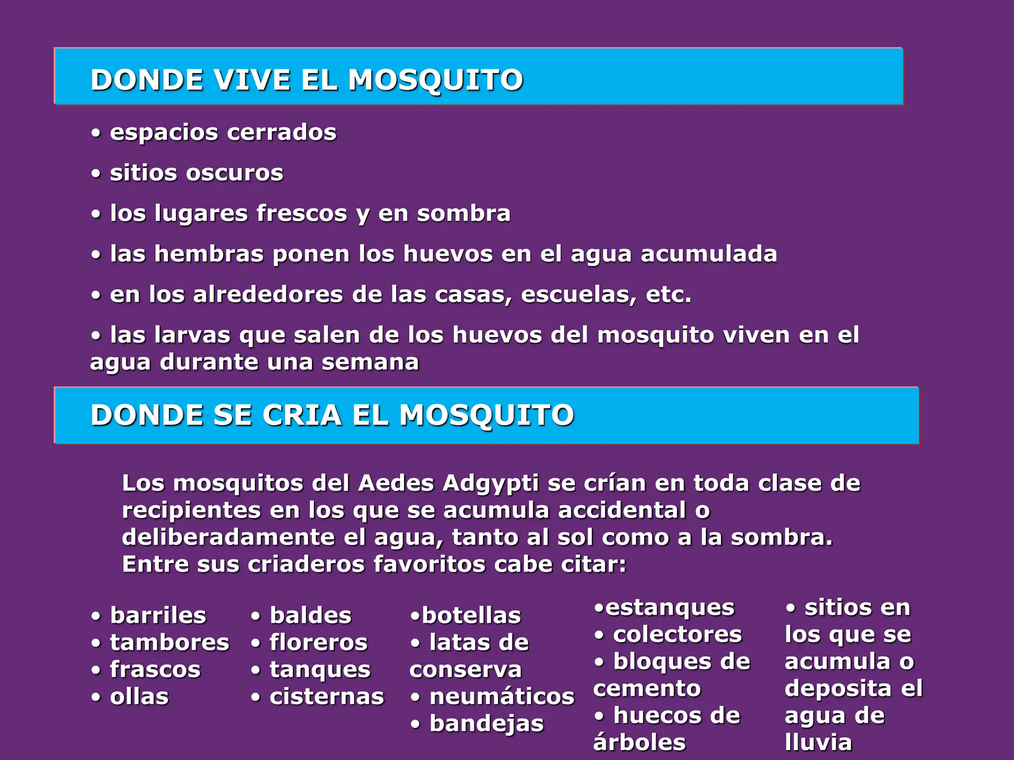 Información sobre el dengue - caracteristicas.ppt