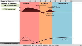 DENGUE FEVER PATHOGENISIS INVESTIGATIONS AND TREATMENT | PPTX