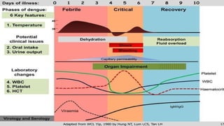 DENGUE FEVER PATHOGENISIS INVESTIGATIONS AND TREATMENT | PPTX