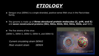 DENGUE FEVER PATHOGENISIS INVESTIGATIONS AND TREATMENT | PPTX
