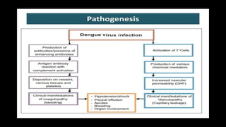 DENGUE FEVER PATHOGENISIS INVESTIGATIONS AND TREATMENT | PPTX