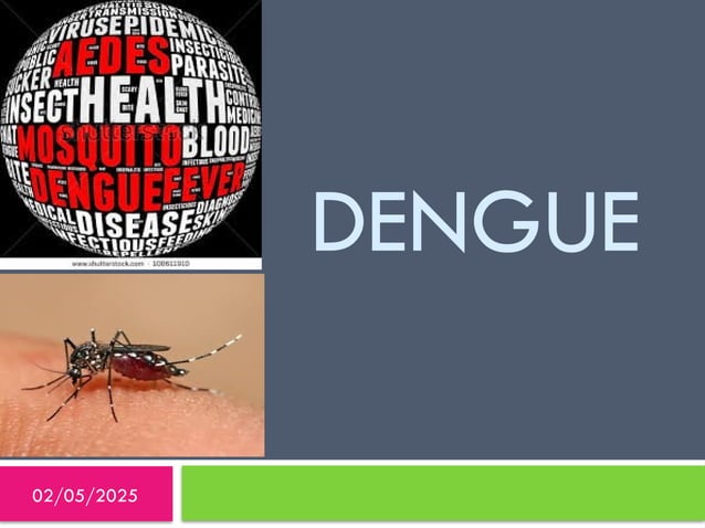 Dengue is a mosquito-transmitted virus that causes dengue fever, a flu ...