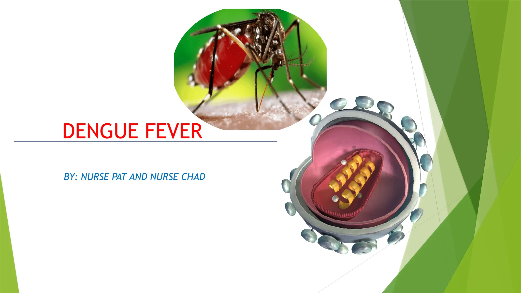 dengue hemorrhagic fever intervention and manifestation | PPTX