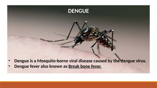 "Dengue Fever: Causes, Symptoms, Diagnosis, and Prevention" | PPTX