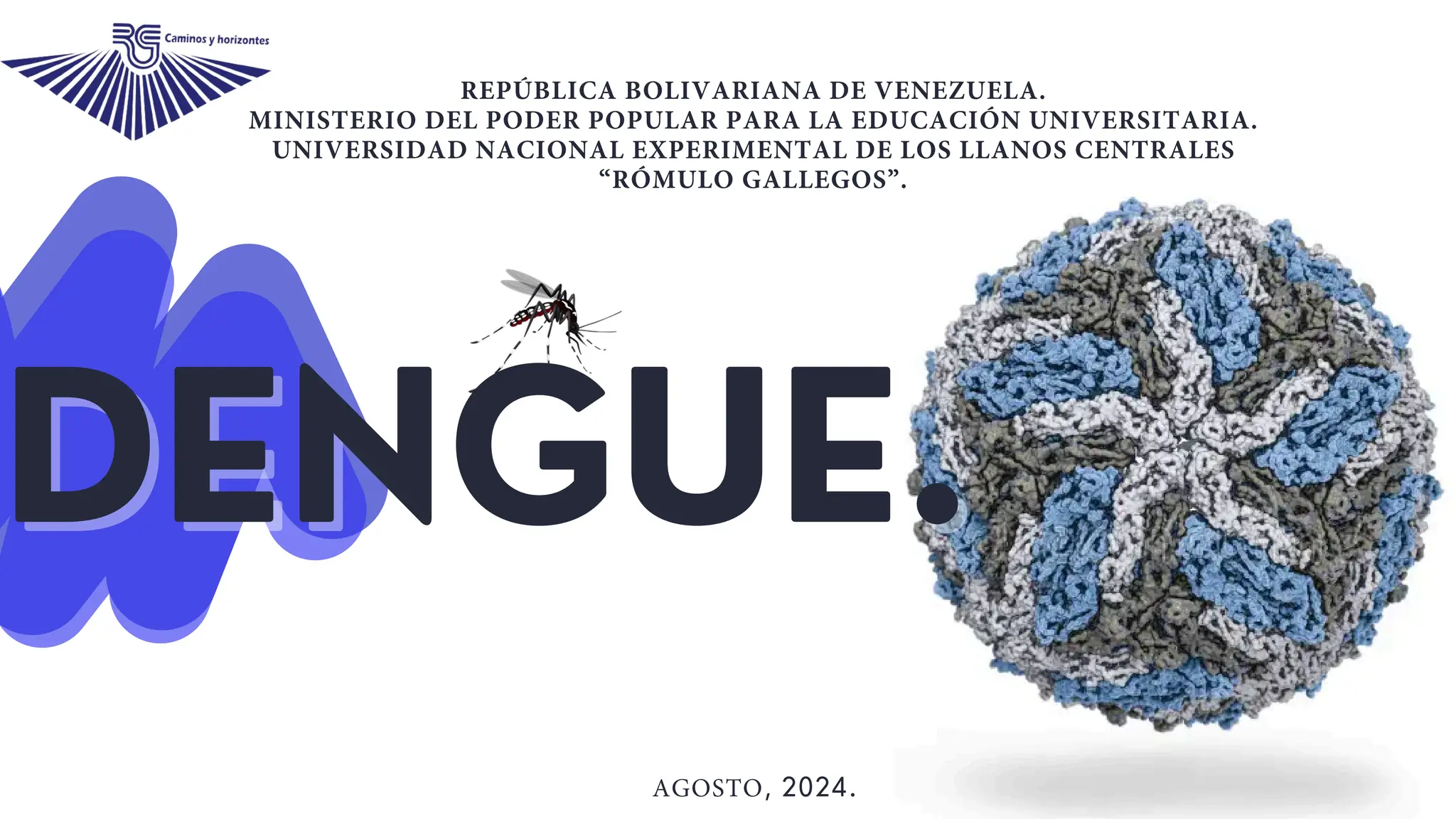 Enfermedad del dengue, conceptos y tratamiento. | PDF