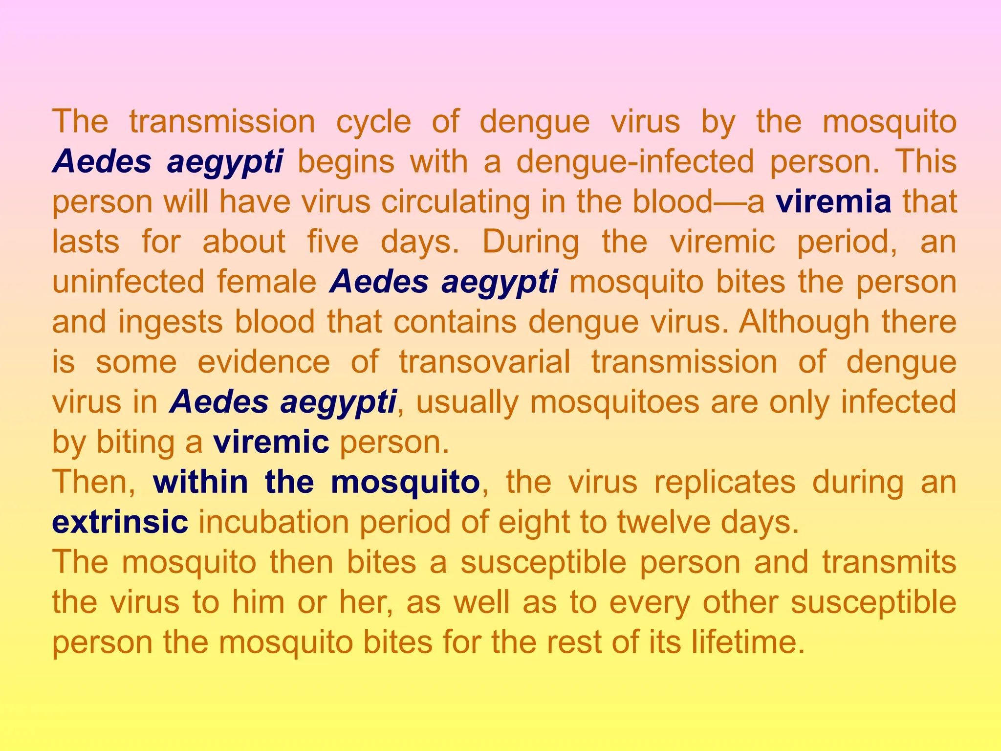 DENGUE.pptx............................... | PPTX