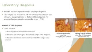 Dengue : Life cycle, pathogenesis and Lab Diagnosis .pptx