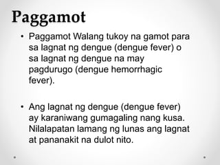DENGUE-awareness-1.pptx