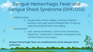 Dengue (break-bone fever) is a viral infection that spreads from ...