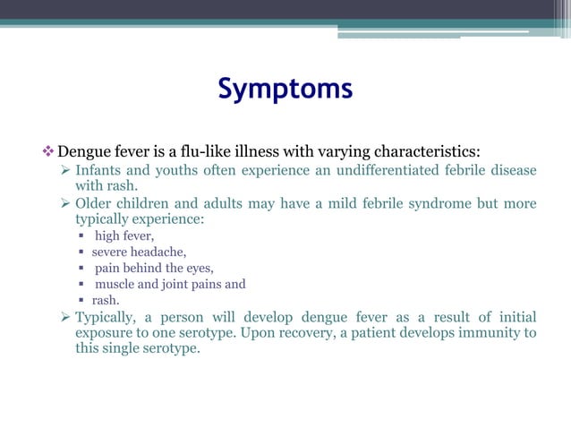 Dengue Fever Prevention Presentation | PPT