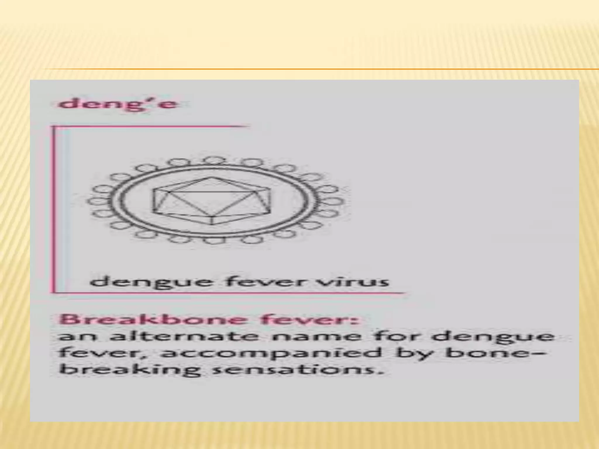 Dengue.jp