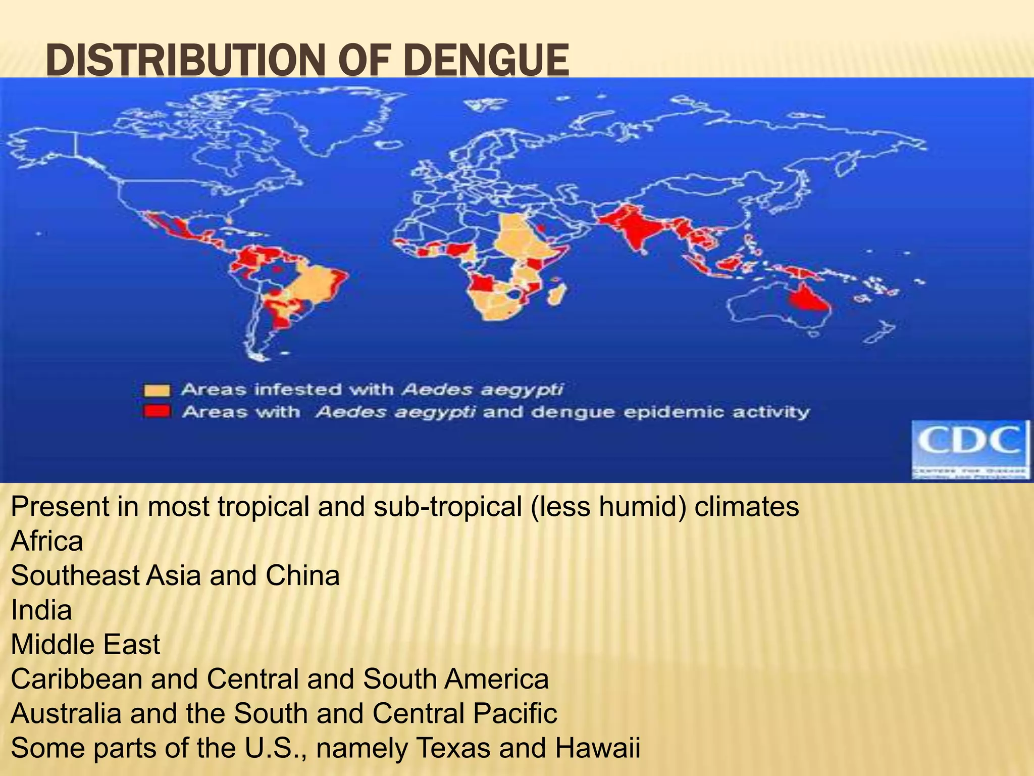 Dengue.jp