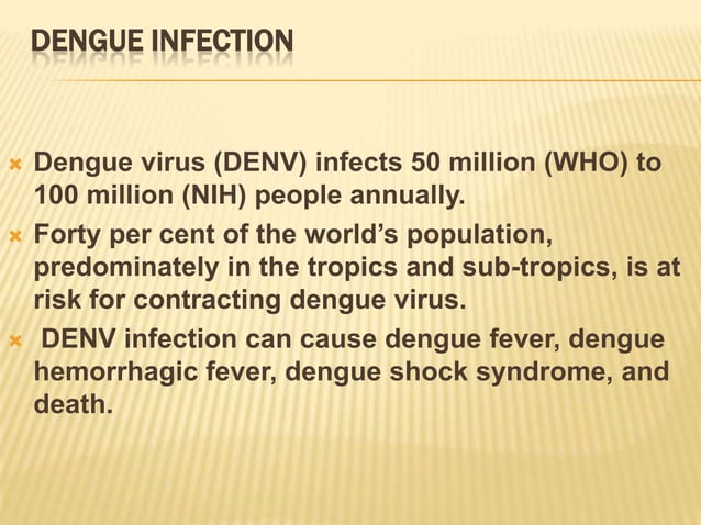 Dengue.jp | Infectious Diseases | Diseases and Conditions