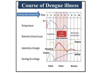 Dengue_Management-_Nursing_Management_.ppt