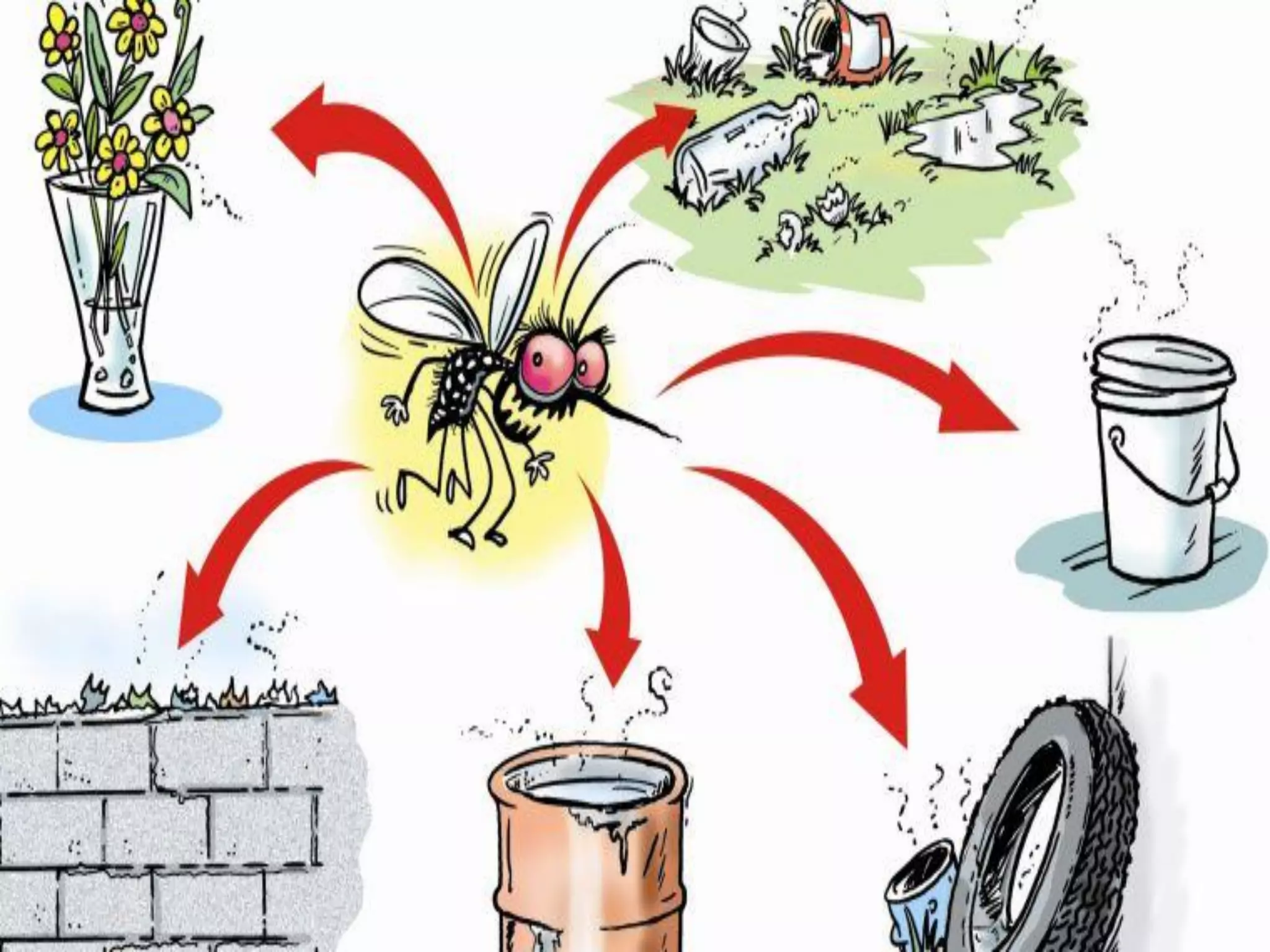 Dengue prevention & control | PDF