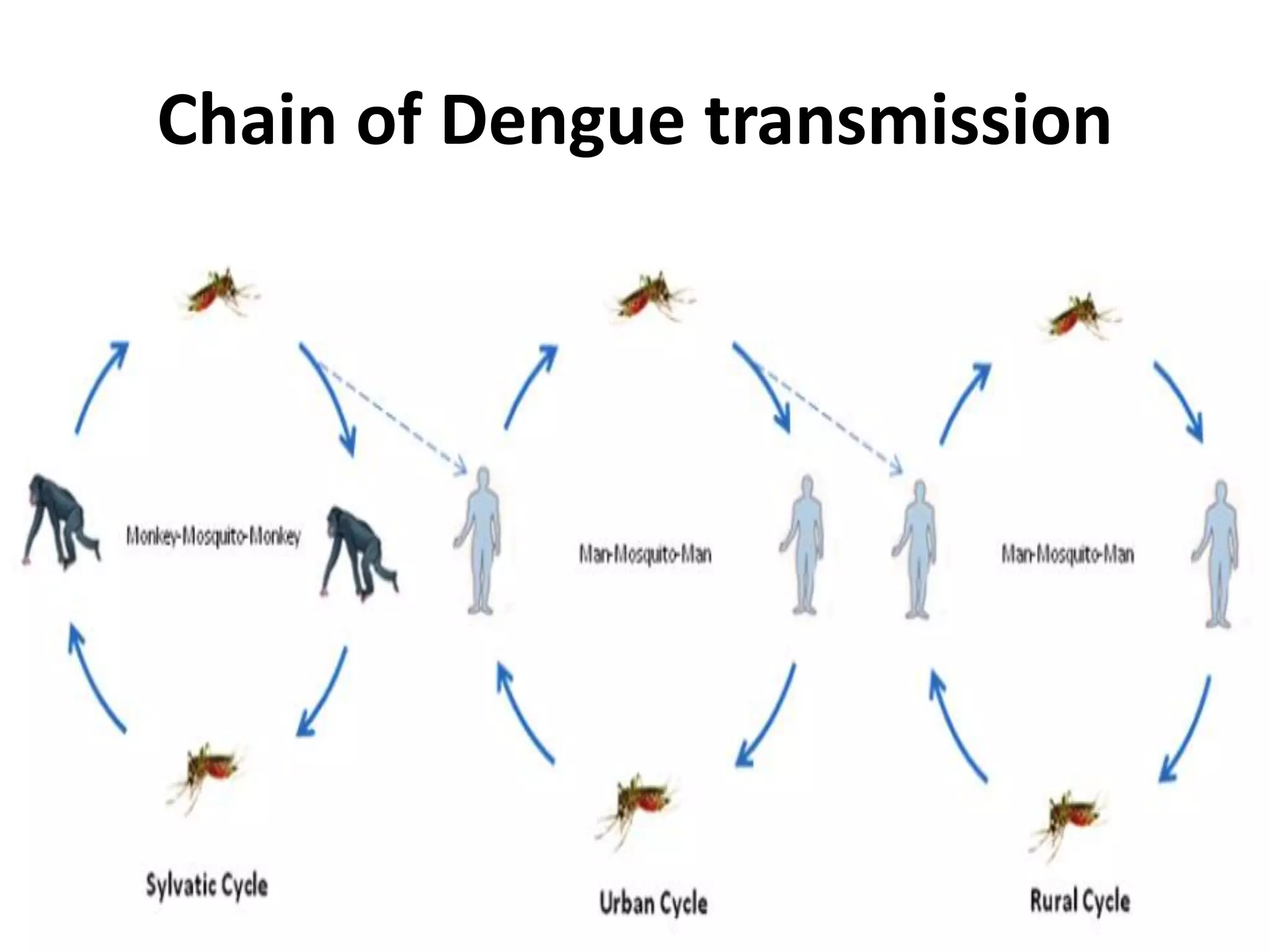 Dengue prevention & control | PDF