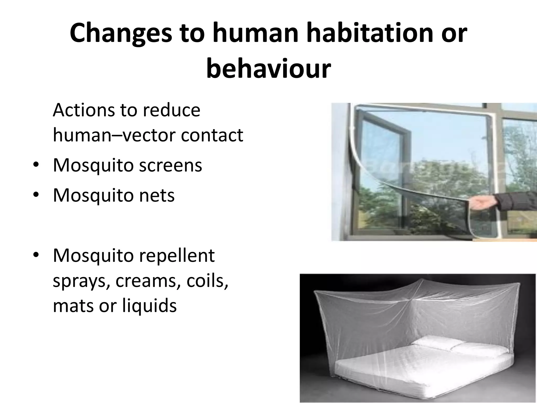 Dengue prevention & control | PDF