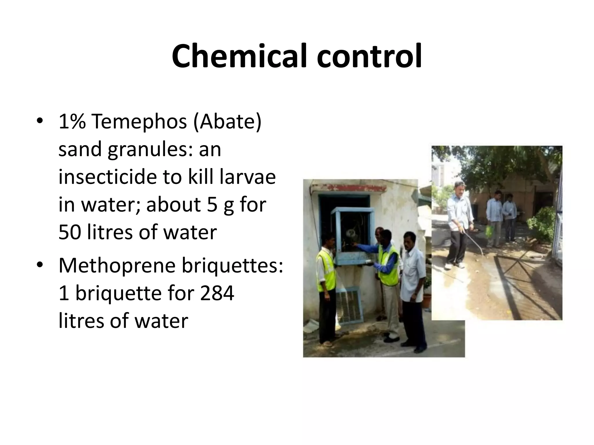 Dengue Prevention And Control Pdf