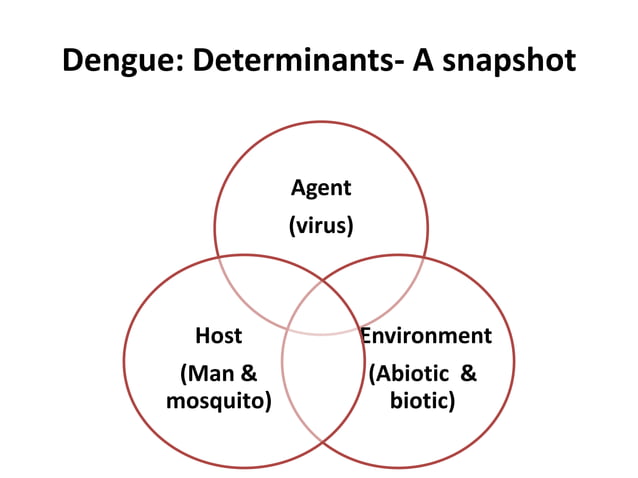 Dengue prevention & control | PDF | Infectious Diseases | Diseases and ...