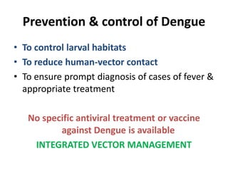 Dengue Fever Prevention